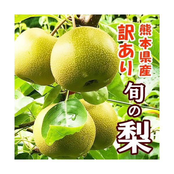 【 熊本県産 】訳あり 梨(幸水 豊水 秋月 新高) ご家庭用 箱込 約5kg・内容量：箱込 約5kg前後5〜24玉入り　風袋量込み・青果物のため重さが若干前後する場合がございます。　・みずみずしい熊本県産の旬の梨、訳あり商品の登場です。・...