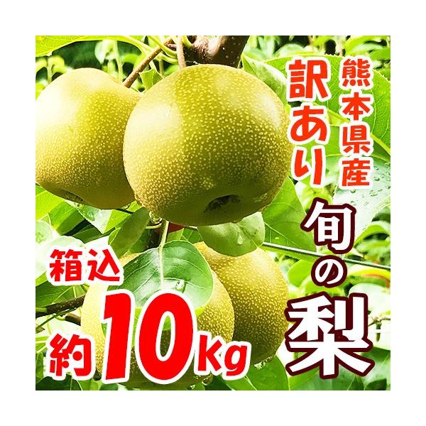 【 熊本県産 】訳あり 旬の梨 ご家庭用 箱込 約10kg前後・内容量：箱込 約10kg前後　※サイズ・品種はお選び頂けません。・品種：幸水・豊水・菊水・秋麗・青梨・秋月・新高・南水の中より 季節のシャリっと美味しい梨をお届けいたします。 ...