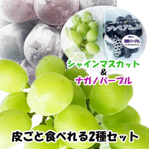 「シャインマスカット＆ナガノパープル　２パック入り　ご家庭用　合わせ詰め　国産」　皮ごとたべれる嬉しい２種のセットです。パリッとした歯応えと肉厚な果肉から零れおちる濃厚な果汁がたまらない一粒です。粒の大きさ等は個体差があります。 1パック当...