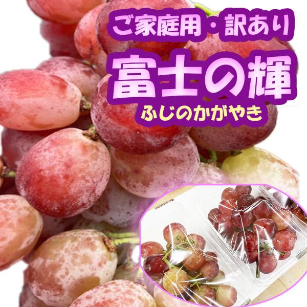 「富士の輝　ふじのかがやき　4パック入り　ご家庭用　訳あり　国産」果肉から零れおちる甘い果汁がたまらない一粒です。粒の大きさ等は個体差があります。 1パック当たり300g前後×4パックパック商品のため1房ではなく合わせ詰めになります生産者に...