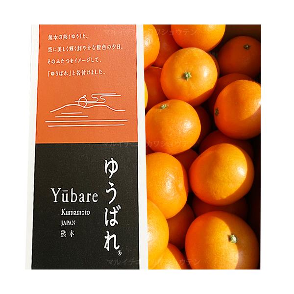 訳あり　ゆうばれ　2キロ前後　熊本ＥＣ１２　待望の新品種　熊本産　柑橘　ご自宅用　贈答用不可デコポン以来の、熊本発の新品種「ゆうばれ‐熊本EC12-」が登場！！熊本が誇るデコポン以来の新品種の登場です！！「はれひめ」と「あすみ」を掛け合わせ...