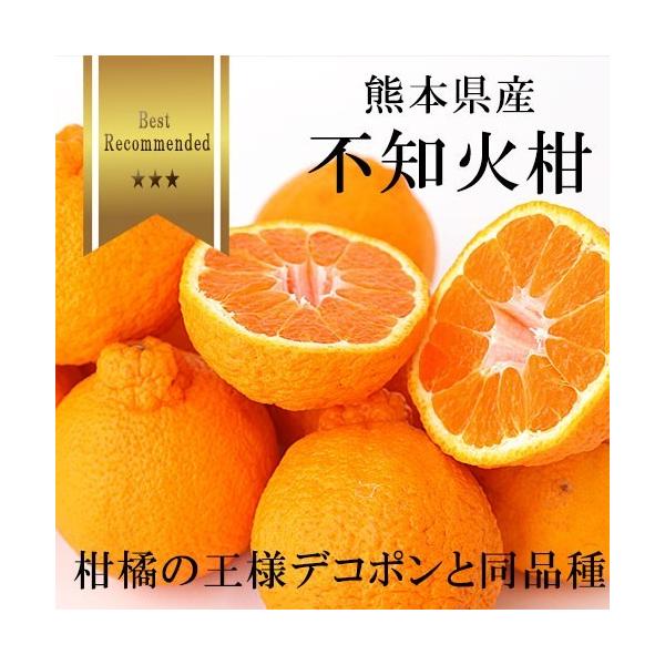 【 熊本県産 】不知火柑 (デコポンと同品種) 秀品・内容量：箱込 約2kg 5玉〜10玉 風袋重量込・常温・簡易箱でのお届けです。・送料無料！！（沖縄、東北、北海道、離島等の一部地域を除きます）果肉ギッシリ、果汁たっぷり。コクと風味の高い...
