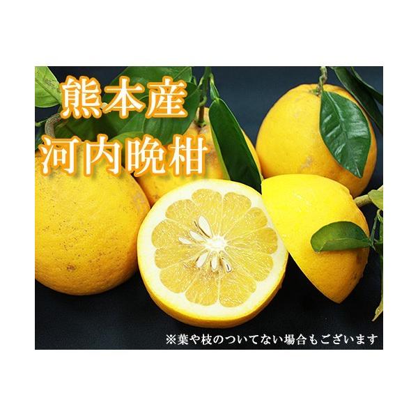 【 熊本県産 】河内晩柑 ジューシーオレンジ（ 美生柑 宇和ゴールド）秀品 ・お試し 箱込 約2kg前後・サイズ：L・M　サイズはお選びいただけません。・常温便・簡易箱でのお届けです。・入荷により葉や枝のついていない場合もございます。露地栽...