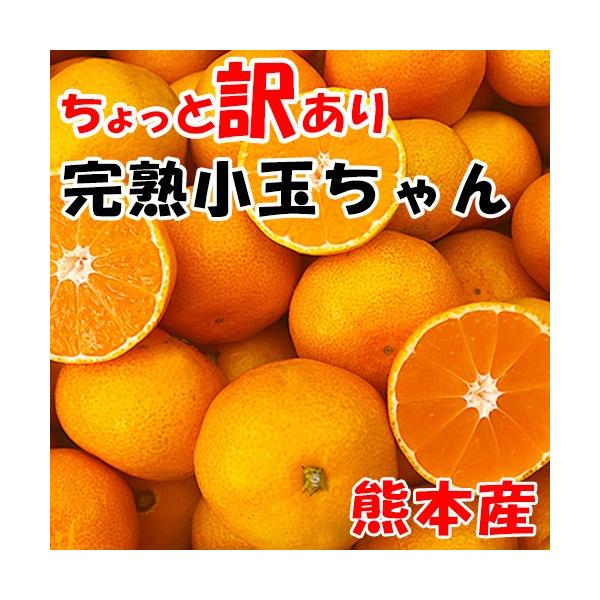 【 熊本産 】蜜柑  訳あり ご家庭用 小玉 S〜3S 箱込 約5kg前後※ 9月頃〜極早生、11月頃〜12月頃 早生、12月頃〜1月頃 青島・金峰、1月頃〜2月頃大津（天候などの影響により品種が異なる場合がございます）・内容量 箱込 約5...