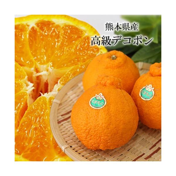【発売日：2026年01月17日】【 熊本県産 】 高級 JAブランド デコポン・内容量：箱込 約5kg前後 小玉 20〜24玉 風袋重量込・デコポン専用箱入り・サイズはお選びいただけません。・常温便でのお届けです。・送料無料！！（沖縄、東...