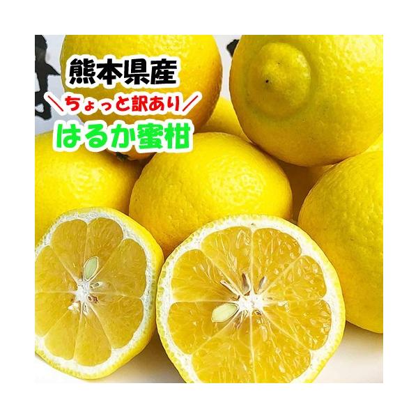 熊本産 はるか みかん 奇跡の柑橘 訳あり ご家庭用 箱込 約9kg前後 ・箱込 約9kg前後　風袋重量込・サイズ：M〜2L※サイズはお選びいただけません。生産者により大きさに偏りのでる場合がございます。・訳あり品のため傷・ヤケ・シミ・変形...