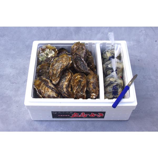 【発売日：2025年11月28日】※【加熱調理用】で出荷いたします。※殻付き牡蠣は重量で箱詰めいたしますので、個数はおおよその数を表示しております。時期や生育具合によって大きさが異なるため個数が前後いたしますのでご了承ください。※殻付き牡蠣...