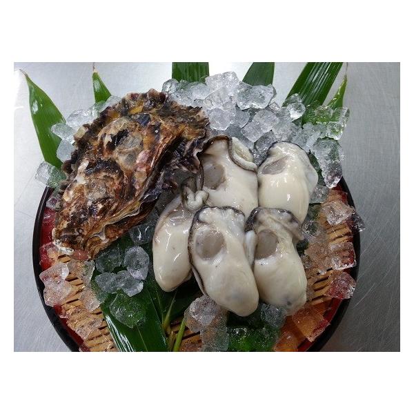 【発売日：2025年11月28日】※【加熱調理用】で出荷いたします。※殻付き牡蠣は重量で箱詰めいたしますので、個数はおおよその数を表示しております。時期や生育具合によって大きさが異なるため個数が前後いたしますのでご了承ください。※殻付き牡蠣...