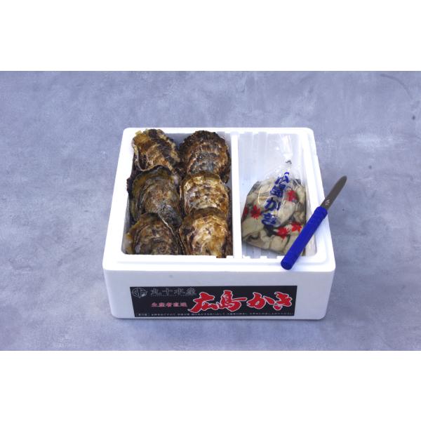 【発売日：2025年11月28日】※生牡蠣の用途の【生食用】、【加熱調理用】のについてはお知らせの欄をご確認ください。※殻付き牡蠣は重量で箱詰めいたしますので、個数はおおよその数を表示しております。1キロ当たり5〜10個を予想しておりますが...