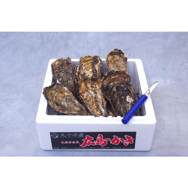 【発売日：2025年11月28日】※生牡蠣の用途の【生食用】、【加熱調理用】のについてはお知らせの欄をご確認ください。※殻付き牡蠣は重量で箱詰めいたしますので、個数はおおよその数を表示しております。1キロ当たり5〜10個を予想しておりますが...