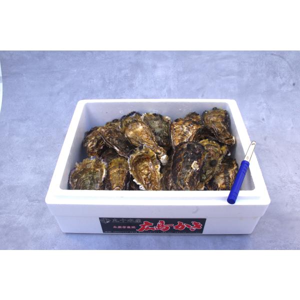 【発売日：2025年11月28日】※生牡蠣の用途の【生食用】、【加熱調理用】のについてはお知らせの欄をご確認ください。※殻付き牡蠣は重量で箱詰めいたしますので、個数はおおよその数を表示しております。1キロ当たり5〜10個を予想しておりますが...