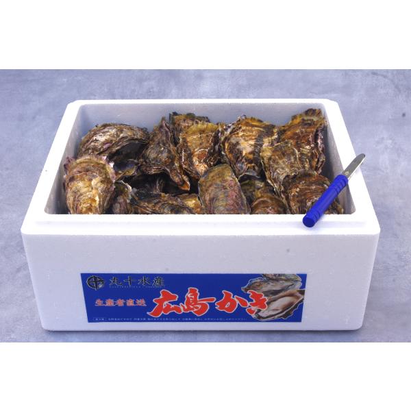 【発売日：2025年11月28日】※【加熱調理用】で出荷いたします。※殻付き牡蠣は重量で箱詰めいたしますので、個数はおおよその数を表示しております。時期や生育具合によって大きさが異なるため個数が前後いたしますのでご了承ください。※殻付き牡蠣...