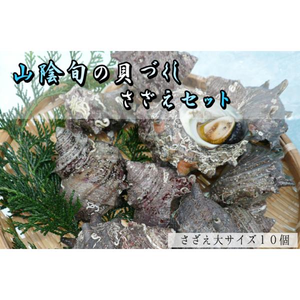 日本海の荒波で育った、よく身の締まった大サイズのさざえ10個をセットにしてお届け致します。※入荷次第の発送となります。−内容量−・さざえ（大サイズ）　約100〜130g×10個※水揚げ状況により申込期間内に在庫切れになる場合がございます。予...