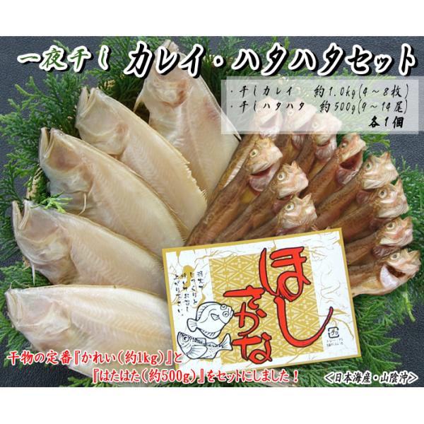 山陰一夜干しの干物（カレイ、ハタハタ）を詰め合わせて皆様の食卓へお届け！贈り物におすすめの詰合せセットとなります。−内容量−・干しカレイ　約1.0kg（4〜8枚）・干しハタハタ　約500g（9〜14尾）各1個【日本海産・山陰沖】※変色・品質...