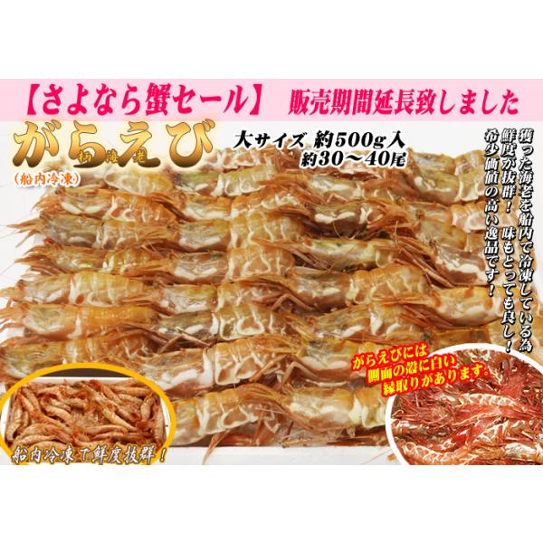 お刺身用 船内冷凍 がらえび約500g　大サイズ　約30〜40尾【日本海産・山陰沖】[冷凍便]※こちらは『さよなら蟹セール対象品』となっております。