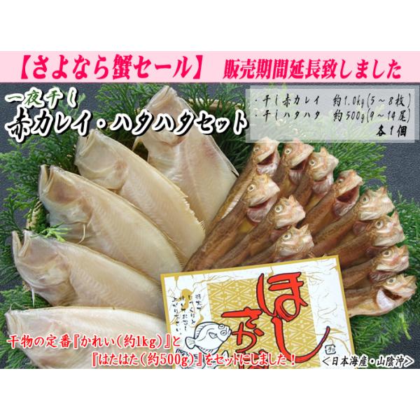山陰一夜干しの干物（赤カレイ、ハタハタ）を詰め合わせて皆様の食卓へお届け！贈り物におすすめの詰合せセットとなります。−内容量−・干し赤カレイ　約1.0kg（5〜8枚）・干しハタハタ　約500g（9〜14尾）各1個【日本海産・山陰沖】※変色・...