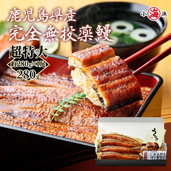 ※完全無投薬(100％鹿児島県産)で安心安全です。化粧箱 包装 熨斗 メッセージカード 紙袋がすべて無料紙袋が必要な場合は要望欄に記載下さい。その他のご要望についてご連絡お願いいたします。商品内容:国産 うなぎ蒲焼き 約280g×１尾  (...
