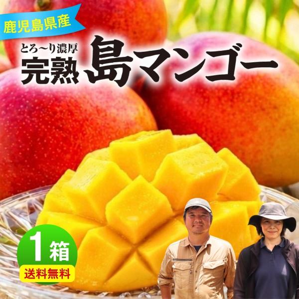 【発売日：2026年07月11日】箱を開けた瞬間ふわ〜っと広がる甘い香りと、口の中でとろける濃厚な果肉。国産マンゴーだからこそ、フレッシュな美味しさを味わっていただけます！今回お届けするマンゴーは、自然落下で収穫したものだけ。自然落下したも...