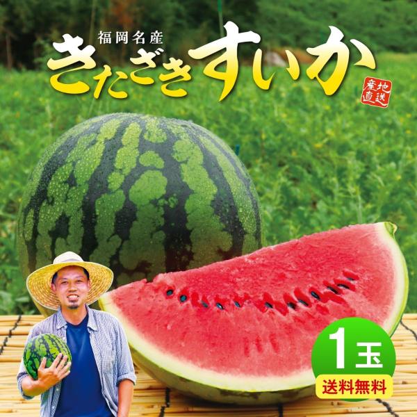 【発売日：2026年06月23日】＼スイカ好きに捧ぐ、究極のシャリ甘すいか！／『きたざきすいか』の一番のウリは、シャリ感の強い食べ応えのある食感と、平均13度という高い糖度。きたざきすいかはすべて露地で栽培されます。海が近く、ミネラルを含ん...