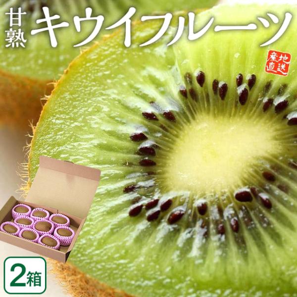 【発売日：2026年01月27日】福岡県産の人気ブランド「博多 甘熟娘（うれっこ）」をお取り寄せ！国産キウイならではの、濃厚な甘みと爽やかな酸味をご堪能ください。■名称：甘熟キウイフルーツ■品種：博多 甘熟娘（ヘイワード）■産地：福岡県八女...