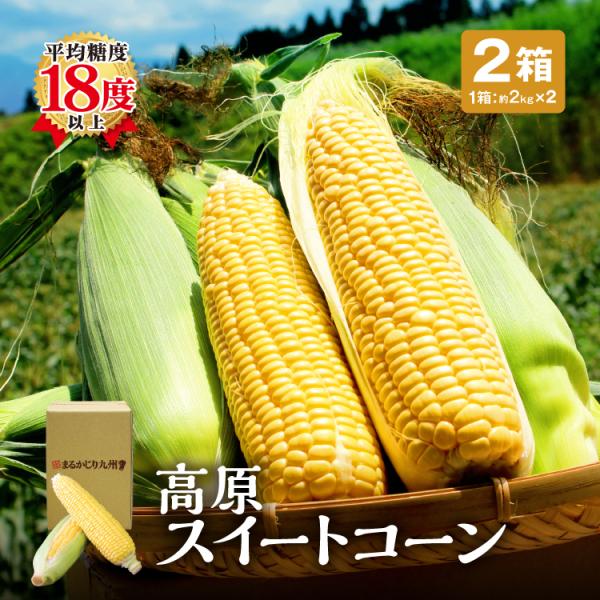 【発売日：2026年06月20日】とうもろこしの名産地「大分県竹田市菅生」より旬の夏野菜をお届け♪高原スイートコーンは、甘さが人気の「恵味（めぐみ）」という品種。ベテラン農家の卯野農場から早朝に収穫した一番果だけを６本セットでお届けします。...