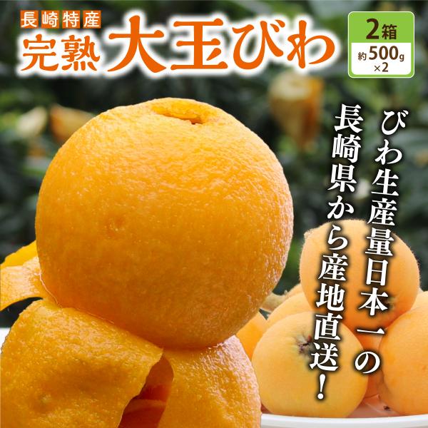 【発売日：2026年04月24日】＼大玉でジューシー！肉厚だから食べ応えあり♪／長崎県から産地直送でお届けします。「びわ」は、初夏を彩るフルーツ。5月初旬から6月上旬の短い期間しか収穫できない希少な果物です。露地栽培のため、甘味もたっぷり！...