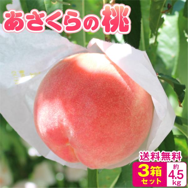 【発売日：2026年07月10日】＼上品な甘さの果汁がたっぷり♪濃密果肉の白桃！／九州屈指の桃の産地として有名な福岡県朝倉市は、きれいな水と空気、豊かな大地に恵まれた環境のもと、甘くて美味しいフルーツが多数栽培されているフルーツの産地です。...