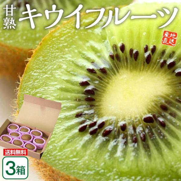 【発売日：2026年01月27日】福岡県産の人気ブランド「博多 甘熟娘（うれっこ）」をお取り寄せ！国産キウイならではの、濃厚な甘みと爽やかな酸味をご堪能ください。■名称：甘熟キウイフルーツ■品種：博多 甘熟娘（ヘイワード）■産地：福岡県八女...