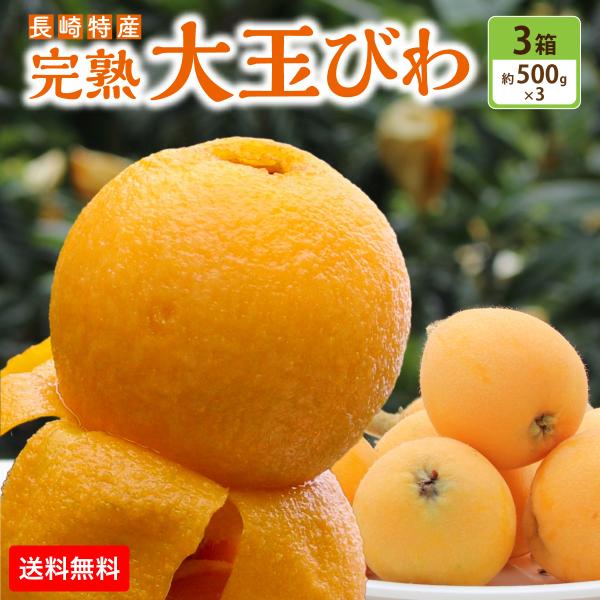 【発売日：2026年04月24日】＼大玉でジューシー！肉厚だから食べ応えあり♪／長崎県から産地直送でお届けします。「びわ」は、初夏を彩るフルーツ。5月初旬から6月上旬の短い期間しか収穫できない希少な果物です。露地栽培のため、甘味もたっぷり！...