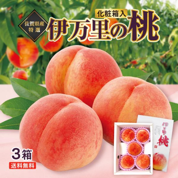 【発売日：2026年06月15日】＼ご贈答にピッタリ！九州から美味しい桃の贈り物♪／高品質な「ハウス桃」の産地・佐賀県伊万里市。桃は露地での栽培が主流ですが、最適な温度や水分量に管理したハウスで栽培することで、繊細でとろけるような食感のジュ...