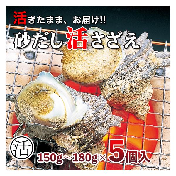 スマホ・タブレットの方は「ここをタップして」スクロールすると商品ページが見られます！！　　　活さざえ（サザエ）贈答用(ギフト用）のし付　〔送料無料〕1カット1カット５種類のカラーレシピ解説　〔保存方法〕〔軍手付〕〔ステーキナイフ付〕100％...