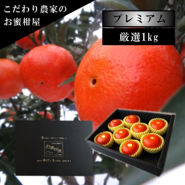 みはや みかん 完熟 お歳暮 高糖度 甘い 送料無料 ギフト 高級 農家直送 新鮮 濃厚 (251) 紅ダイヤ 黒の化粧箱 サイズおまかせ 厳選 プレミアム 約1kg入