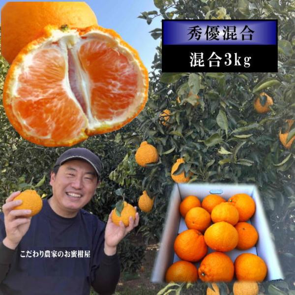 爆買 デコポン しらぬい 不知火 デコみかん 完熟 甘い 送料無料 ギフト 高級 農家直送 濃厚(425)甘熟デコ 白のギフト箱 サイズ混合 秀優混合品 約３ｋｇ