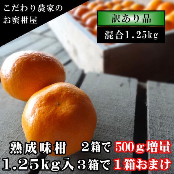 みかん 完熟 貯蔵 熟成 早生 高糖度 甘い 家庭用 高級 農家直送 新鮮 濃厚 (175) 熟成味柑 訳あり品 サイズ混合 約1.25kg入