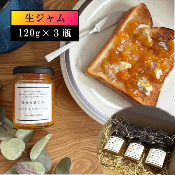 みかんジャム ジャム フルーツ 甘い 送料無料 ギフト 高級 農家直送 濃厚 (81)  果皮を一切使用しない おみかんの生ジャム 120g 3瓶セット