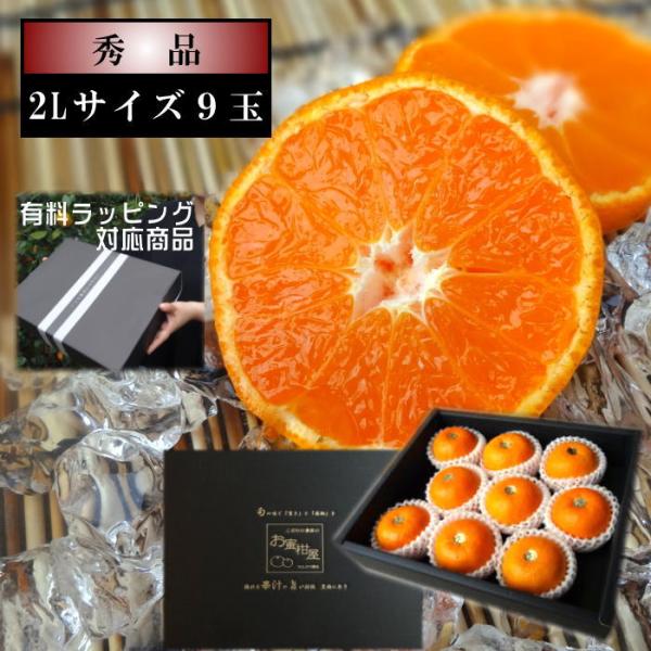 ハウスみかん 温室みかん お中元 甘い 送料無料 ギフト 高級 贈答 農家直送 新鮮 濃厚 (06) 蜜ツ星 みつぼし 黒の化粧箱 ２Ｌサイズ 秀品 ９玉
