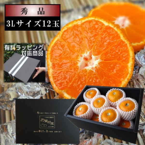 ハウスみかん 温室みかん お中元 甘い 送料無料 ギフト 高級 贈答 農家直送 新鮮 濃厚 (35) 蜜ツ星 みつぼし 黒の化粧箱(大) ３Ｌサイズ 秀品 １２玉