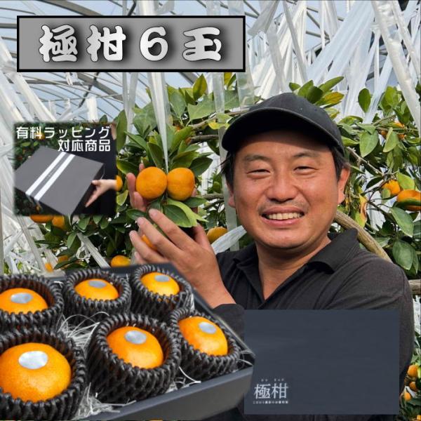 ハウスみかん お中元 甘い 送料無料 究極 みかん ギフト 高級 贈答 農家直送 新鮮 濃厚 (46) 蜜ツ星 みつぼし 黒の化粧箱 極柑 Ｓサイズ ６玉 約500g