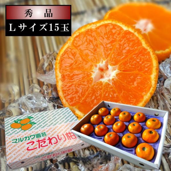 ハウスみかん 温室みかん お中元 甘い 送料無料 ギフト 高級 贈答 農家直送 新鮮 濃厚 (13) 蜜ツ星 みつぼし 白の化粧箱 Ｌサイズ 秀品 １５玉