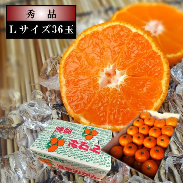 ハウスみかん 温室みかん お中元 甘い 送料無料 ギフト 高級 贈答 農家直送 新鮮 濃厚 (22) 蜜ツ星 みつぼし レギュラー箱 Ｌサイズ 秀品 ３６玉