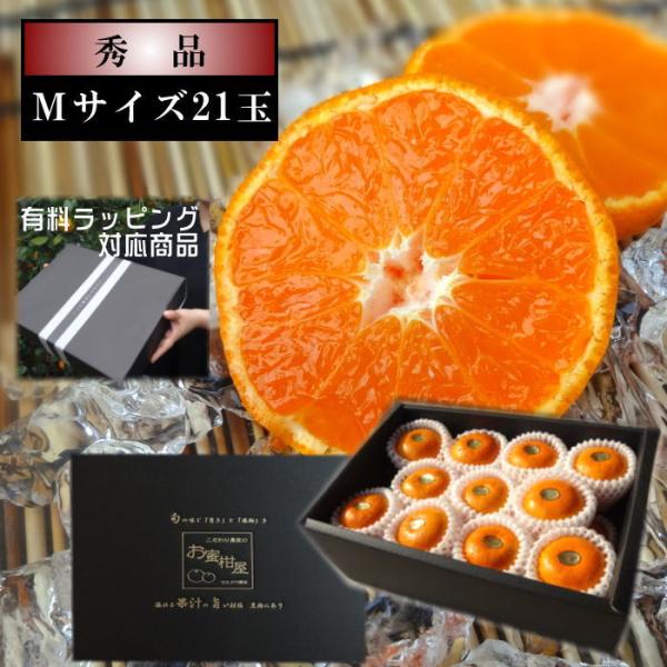 ハウスみかん 温室みかん お中元 甘い 送料無料 ギフト 高級 贈答 農家直送 新鮮 濃厚 (08) 蜜ツ星 みつぼし 黒の化粧箱(大) Ｍサイズ 秀品 ２１玉