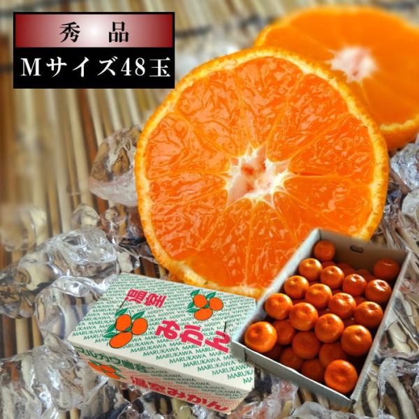 ハウスみかん 温室みかん お中元 甘い 送料無料 ギフト 高級 贈答 農家直送 新鮮 濃厚 (21) 蜜ツ星 みつぼし レギュラー箱 Ｍサイズ 秀品 ４８玉