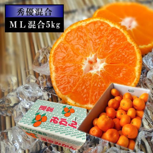 ハウスみかん 温室みかん お中元 甘い 送料無料 ギフト 高級 贈答 農家直送 新鮮 濃厚 (30) 蜜ツ星 みつぼし レギュラー箱 ＭＬサイズ 秀優混合 約５ｋｇ入