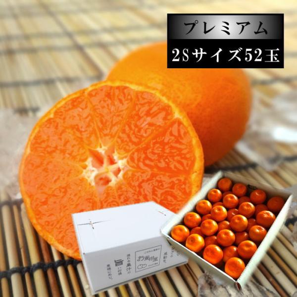 ハウスみかん 温室みかん お中元 甘い 送料無料 ギフト 高級 贈答 農家直送 新鮮 濃厚 (64) 蜜ツ星 プレミアム 白のギフト箱 ２Ｓサイズ 初取り果実 ５２玉
