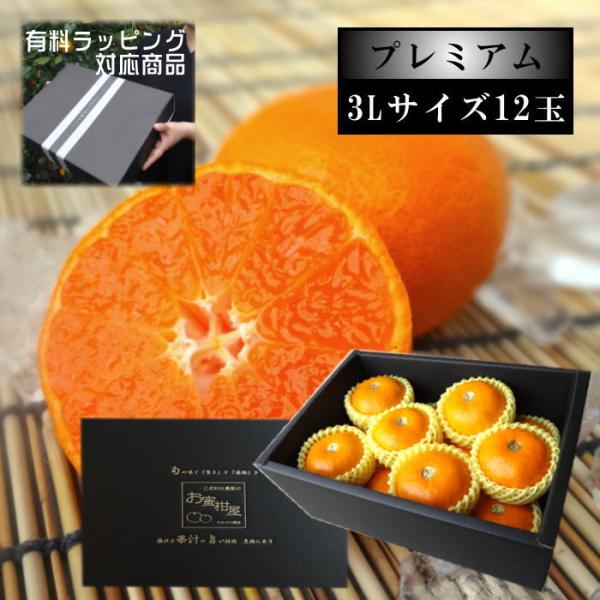 ハウスみかん 温室みかん お中元 甘い 送料無料 ギフト 高級 贈答 農家直送 新鮮 濃厚 (75) 蜜ツ星 プレミアム 黒の化粧箱(大) ３Ｌサイズ 初取り果実 １２玉