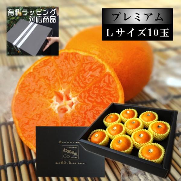 ハウスみかん 温室みかん お中元 甘い 送料無料 ギフト 高級 贈答 農家直送 新鮮 濃厚 (55) 蜜ツ星 プレミアム 黒の化粧箱 Ｌサイズ 初取り果実 １０玉