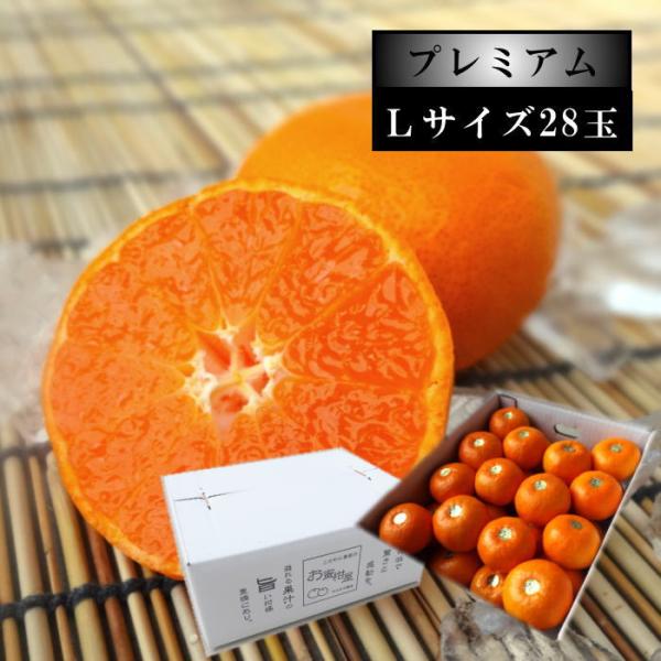 ハウスみかん 温室みかん お中元 甘い 送料無料 ギフト 高級 贈答 農家直送 新鮮 濃厚 (67) 蜜ツ星 プレミアム 白のギフト箱 Ｌサイズ 初取り果実 ２８玉