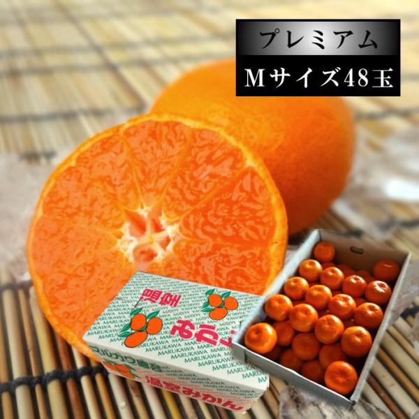 ハウスみかん 温室みかん お中元 甘い 送料無料 ギフト 高級 贈答 農家直送 新鮮 濃厚 (71) 蜜ツ星 プレミアム レギュラー箱 Ｍサイズ 初取り果実 ４８玉