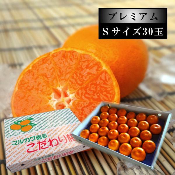 ハウスみかん 温室みかん お中元 甘い 送料無料 ギフト 高級 贈答 農家直送 新鮮 濃厚 (61) 蜜ツ星 プレミアム 白の化粧箱 Ｓサイズ 初取り果実 ３０玉