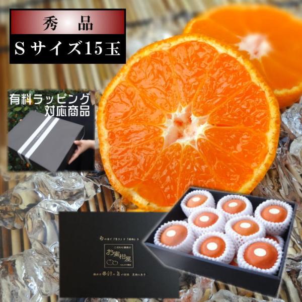 ハウスみかん 温室みかん お中元 甘い 送料無料 ギフト 高級 贈答 農家直送 新鮮 濃厚 (03) 蜜ツ星 みつぼし 黒の化粧箱(中) Ｓサイズ 秀品 １５玉